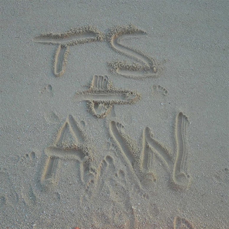 Taylor Swift & Calvin Harris' Vacation Album Taylor Swift & Calvin Harris' Vacation Album